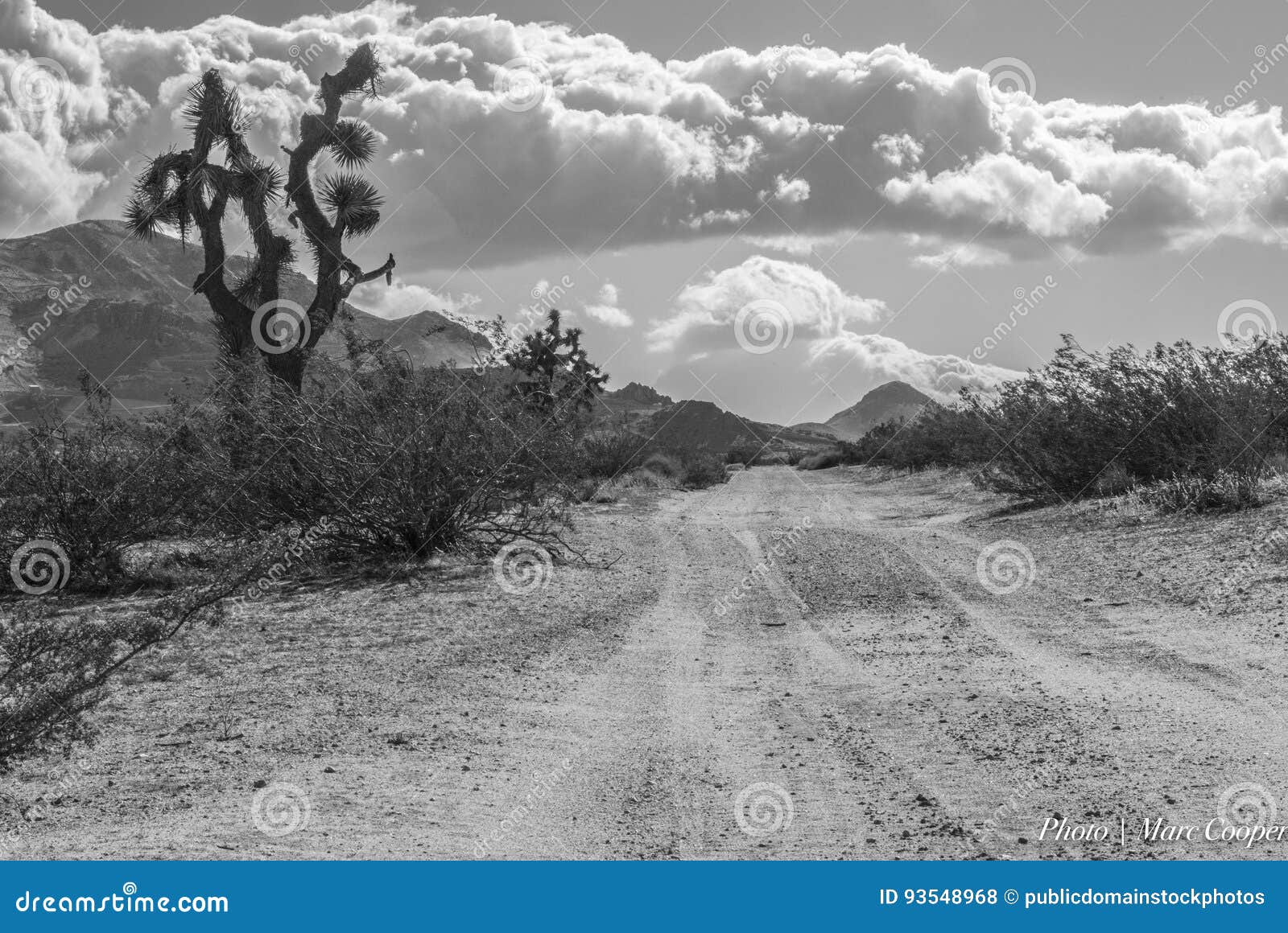 Going Nowhere Picture. Image: 93548968