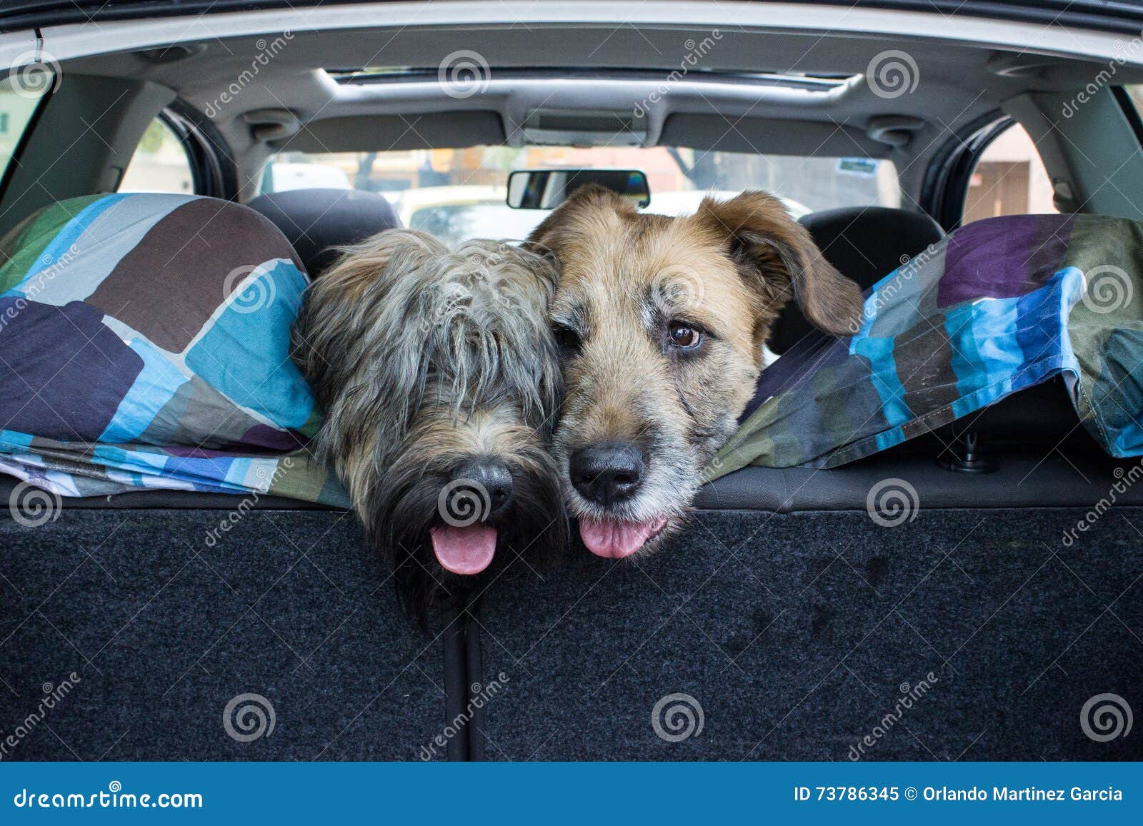 Going out stock image. Image of carro, pair, viaje, colors - 73786345