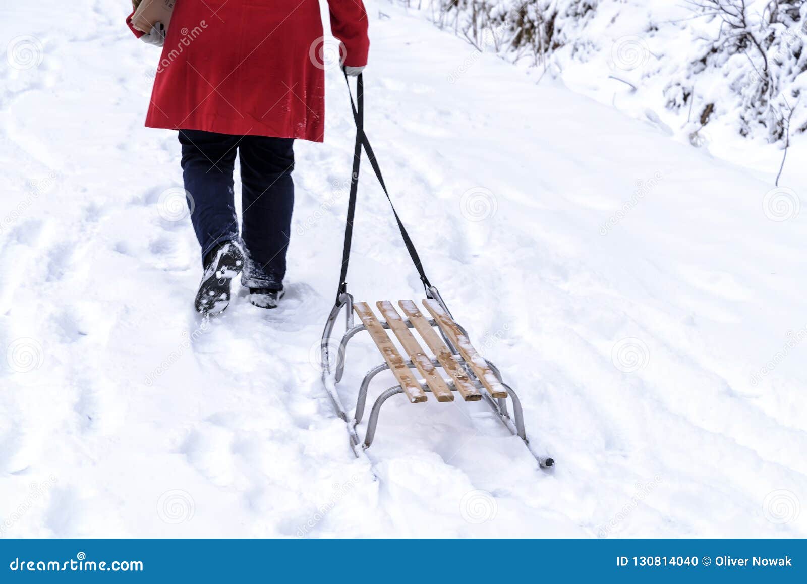 Going on a sleigh ride stock photo. Image of holiday - 130814040