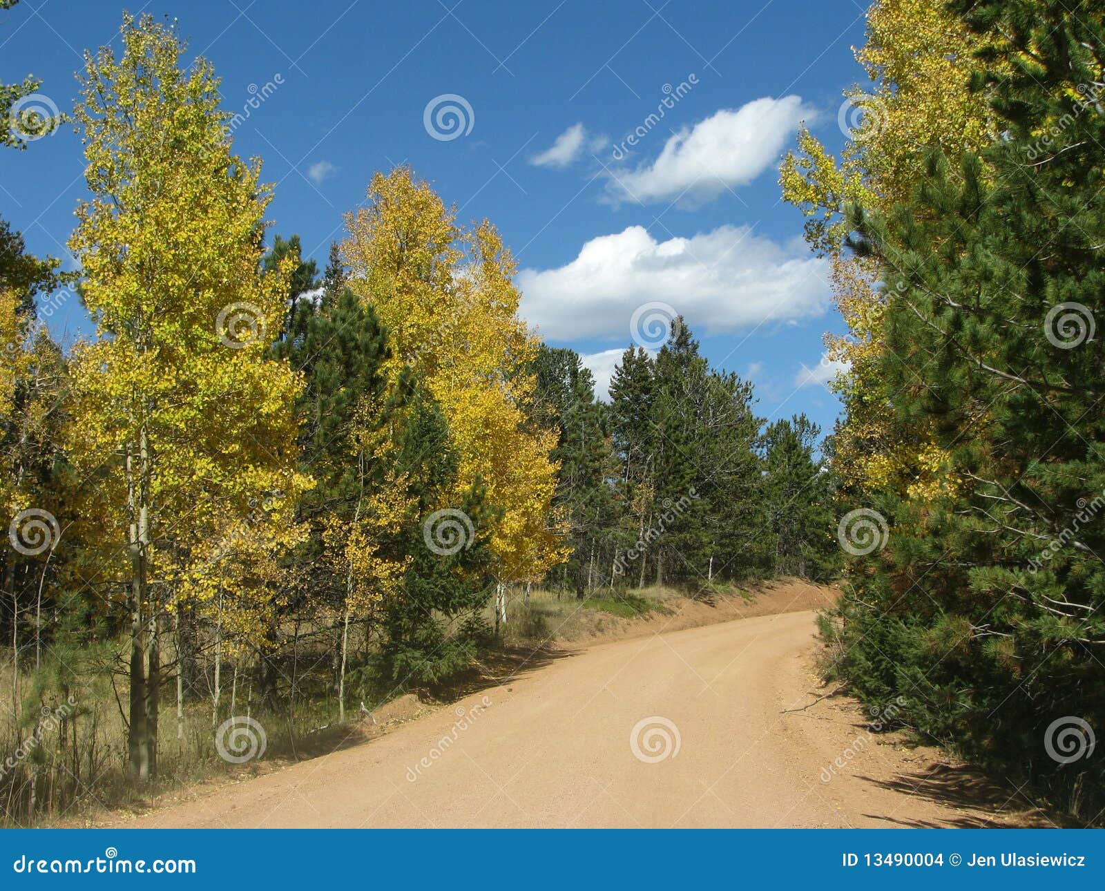 Going for a Sunny Autumn Drive Stock Photo - Image of trees, drive ...