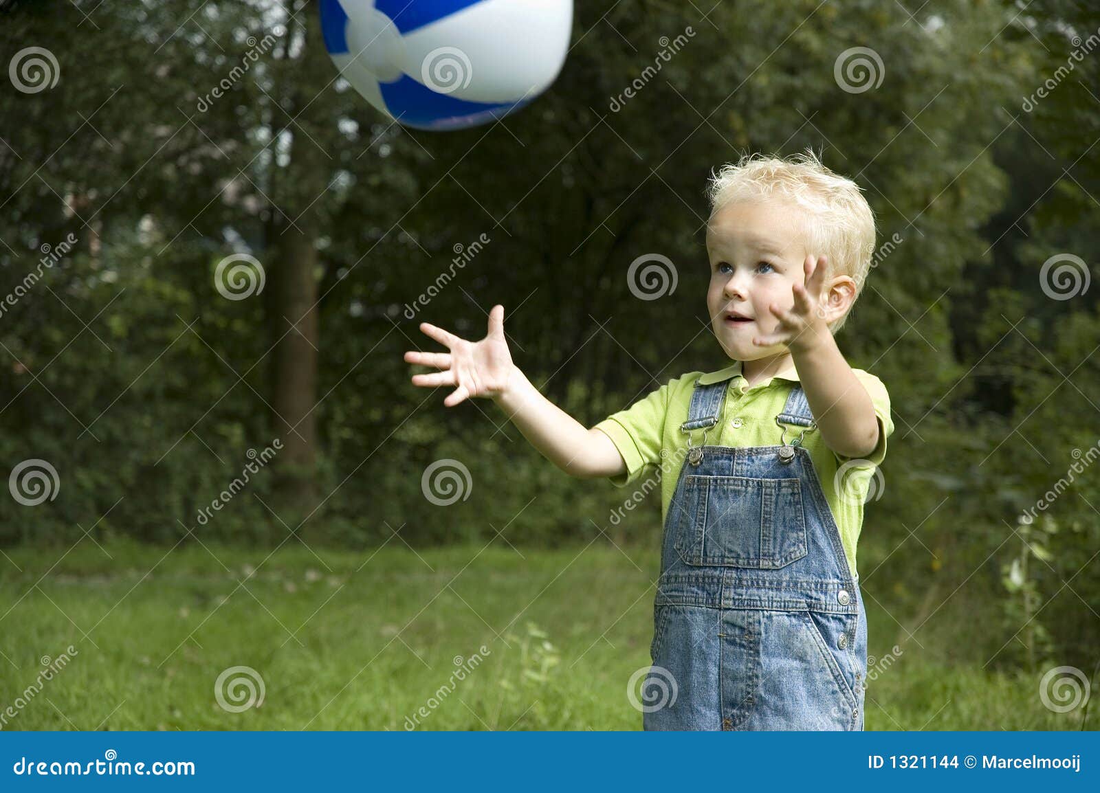 Going to catch it stock photo. Image of catch, ball, people - 1321144