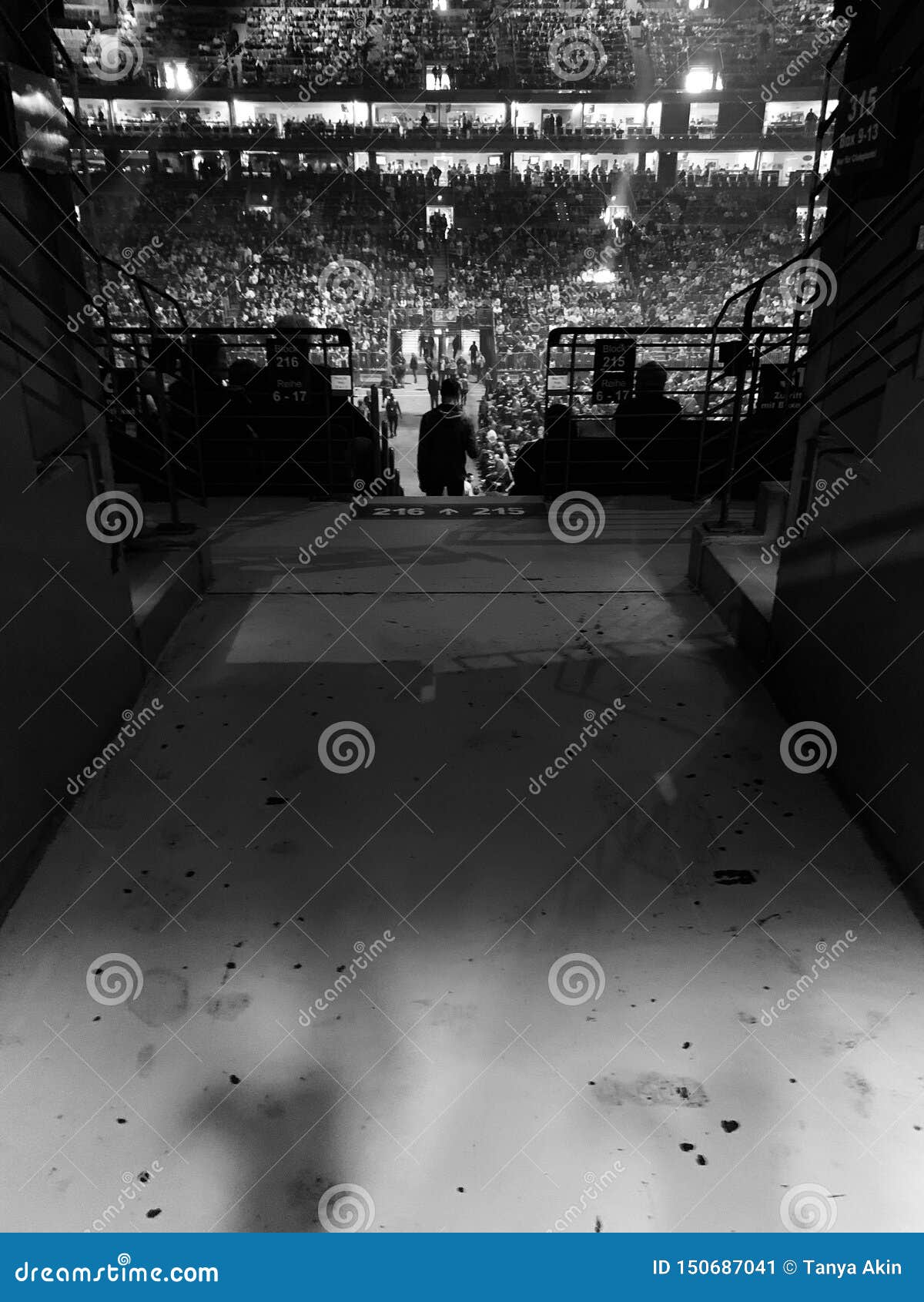 Going to a concert stock image. Image of concertgoers - 150687041