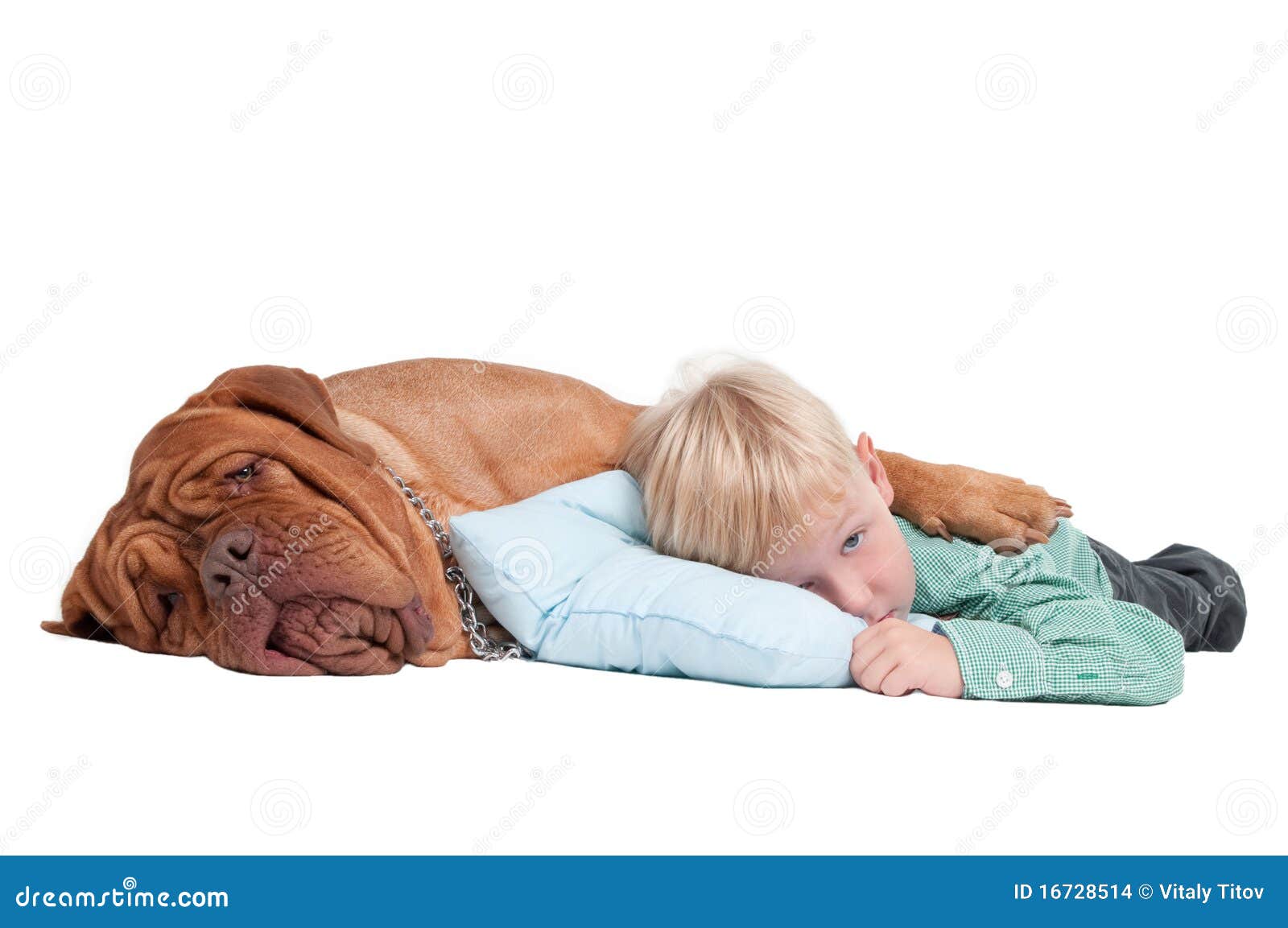 We are Going To Have a Nap... Stock Photo - Image of huge, expression ...