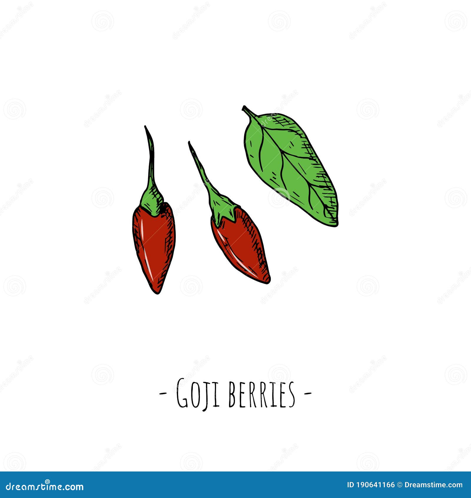 Goji Berries. Vector Cartoon Illustration. Isolated Objects on White ...