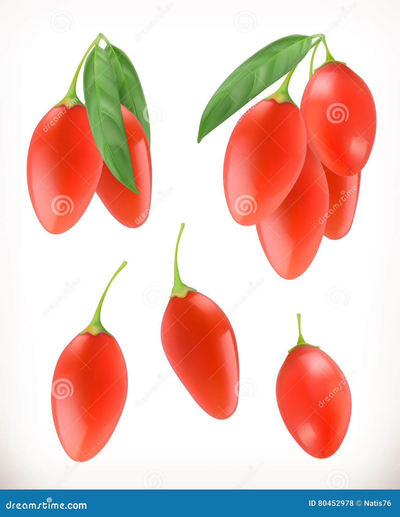 Goji Berry Vector Superfood Drawing Set. Isolated Hand Drawn ...