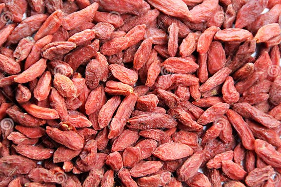 Goji berry pattern stock photo. Image of snack, organic - 29630132