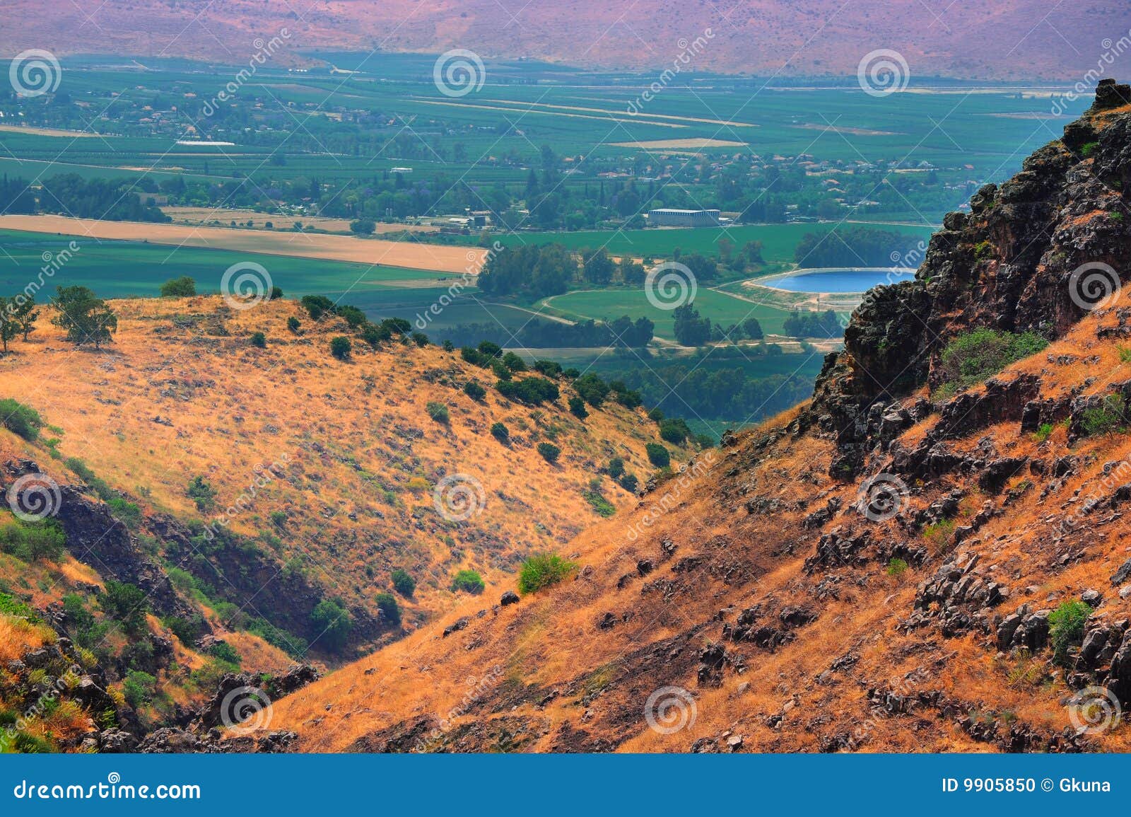 Golan Height stock photo. Image of valley, nature, stone - 9905850