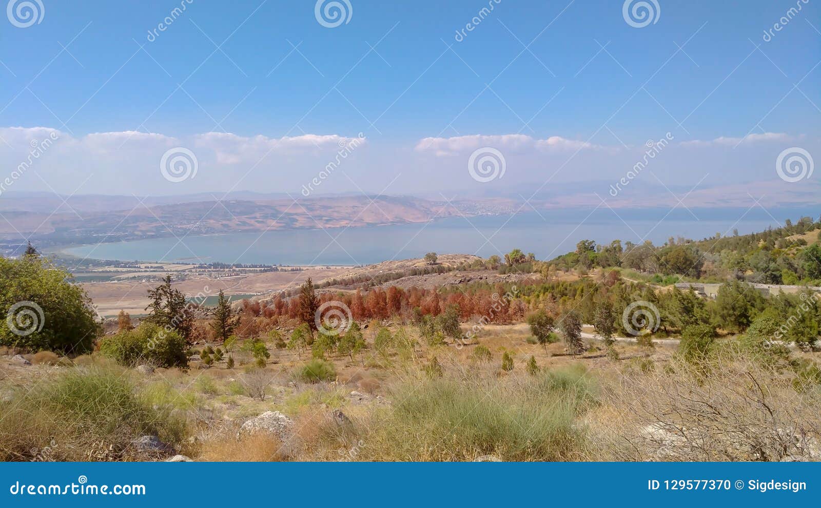 Golan Height E Mare Della Galilea Fotografia Stock - Immagine di parco ...