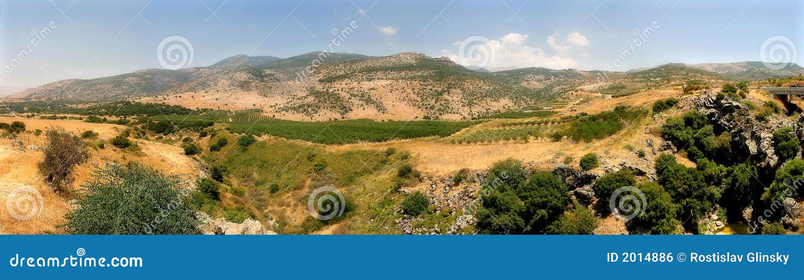 Golan Heigts. stock photo. Image of summer, yellow, israel - 2014886