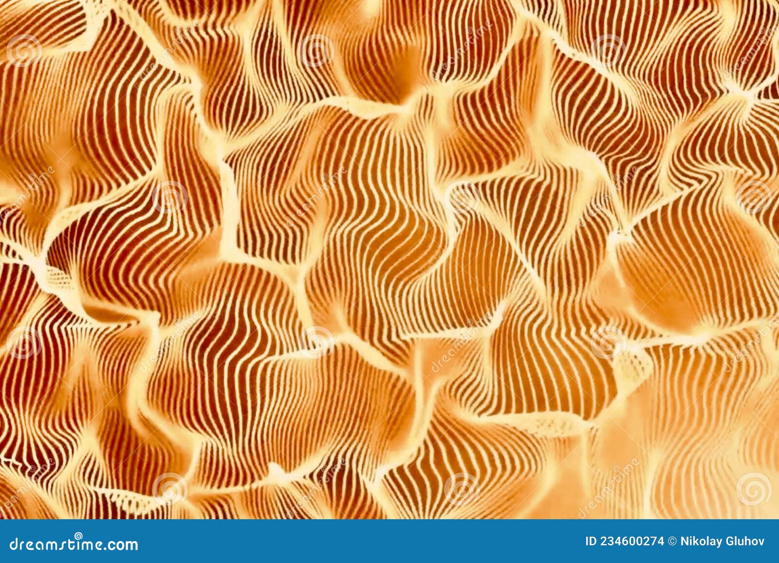 Gold Abstract Background. Front View. Stock Illustration - Illustration ...