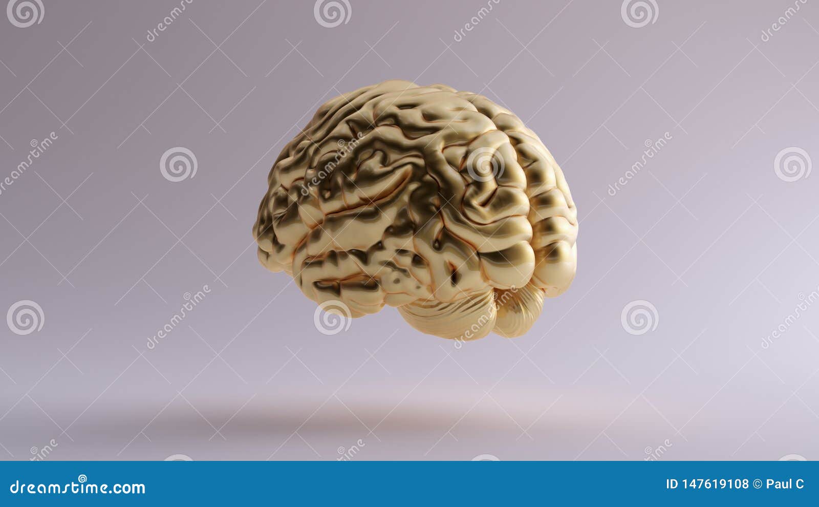 Gold Anatomical Brain stock illustration. Illustration of information ...