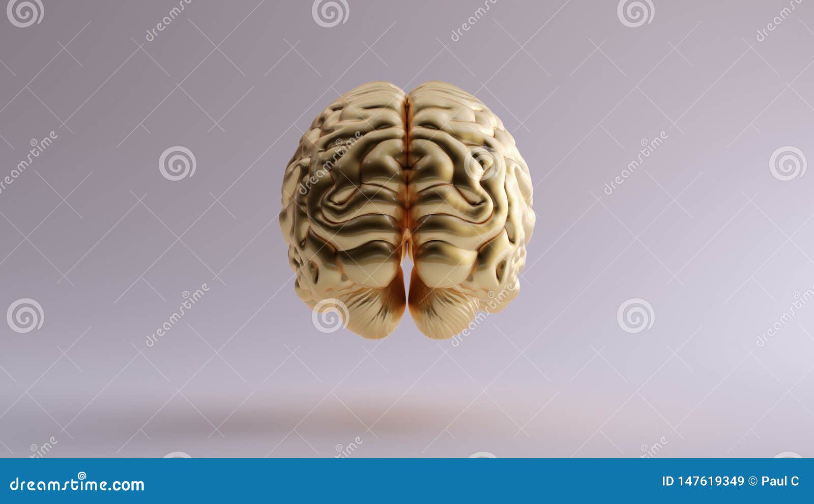 Gold Anatomical Brain stock illustration. Illustration of medical ...