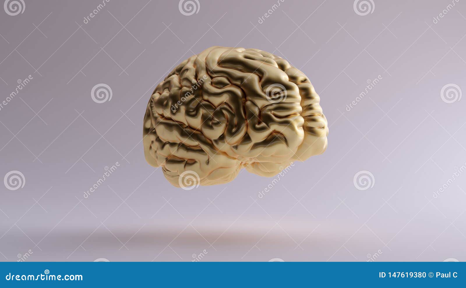 Gold Anatomical Brain stock illustration. Illustration of golden ...