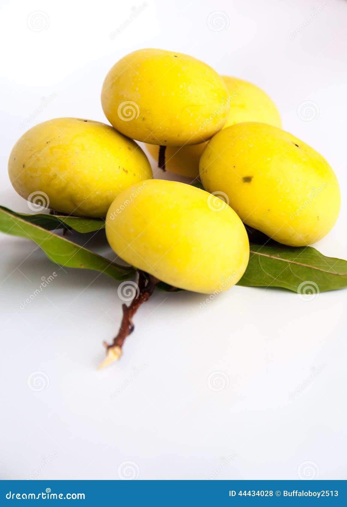 Gold apple fruit stock photo. Image of background, gold - 44434028