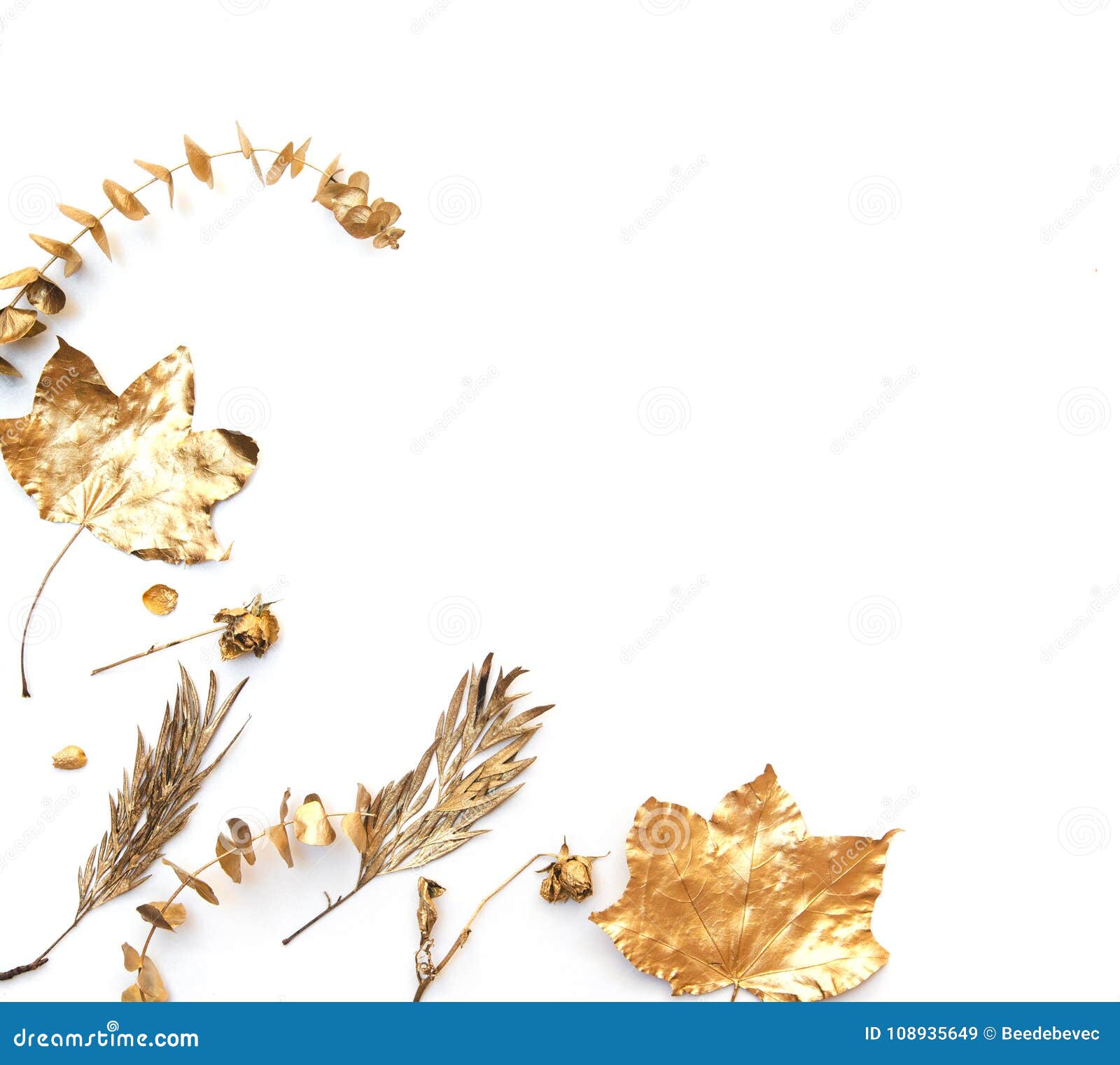 Gold Autumn Falling Leaves, Isolated on White Background. Stock Image ...
