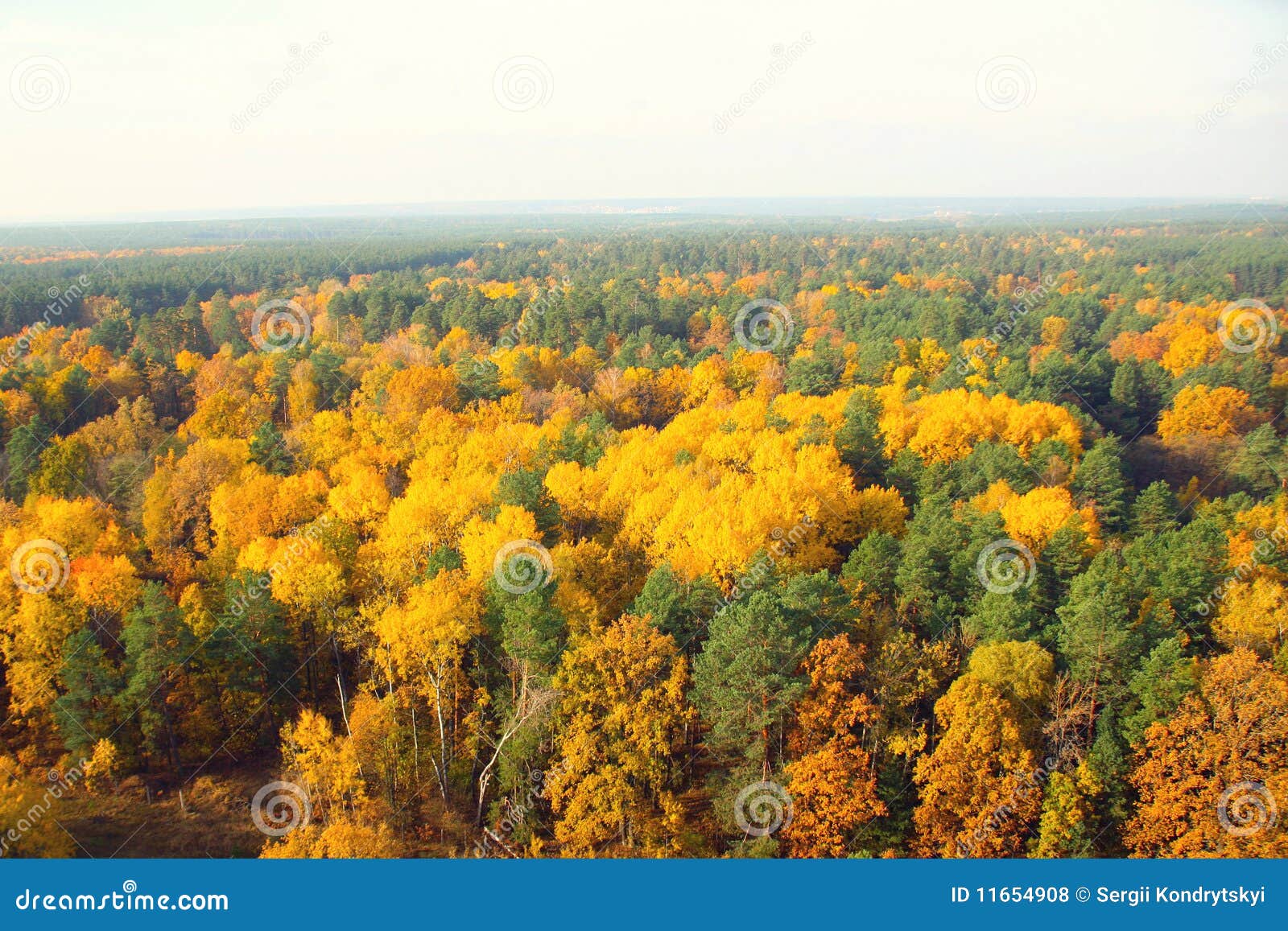Gold Autumn, Flight on a Ball Stock Photo - Image of orange, copy: 11654908