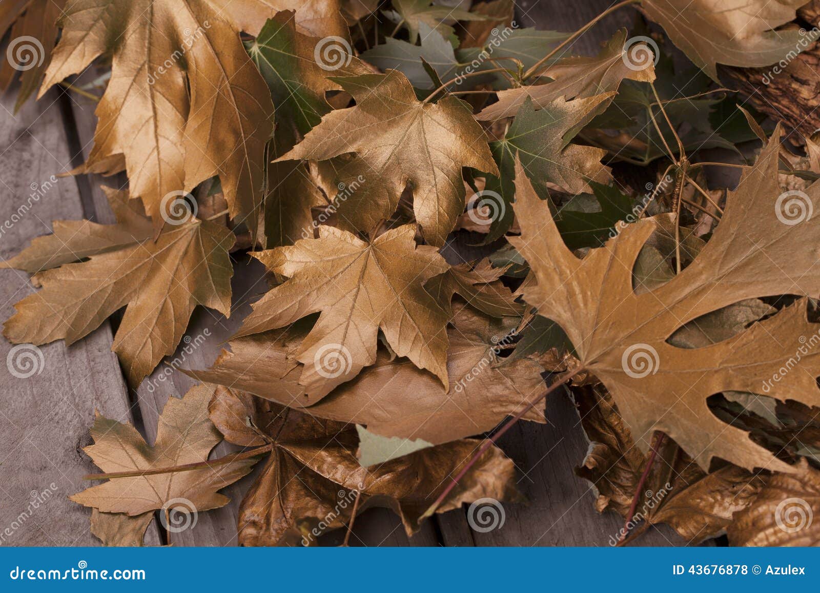 Gold Autumn Leaves Background Stock Photo - Image of decor, nature ...