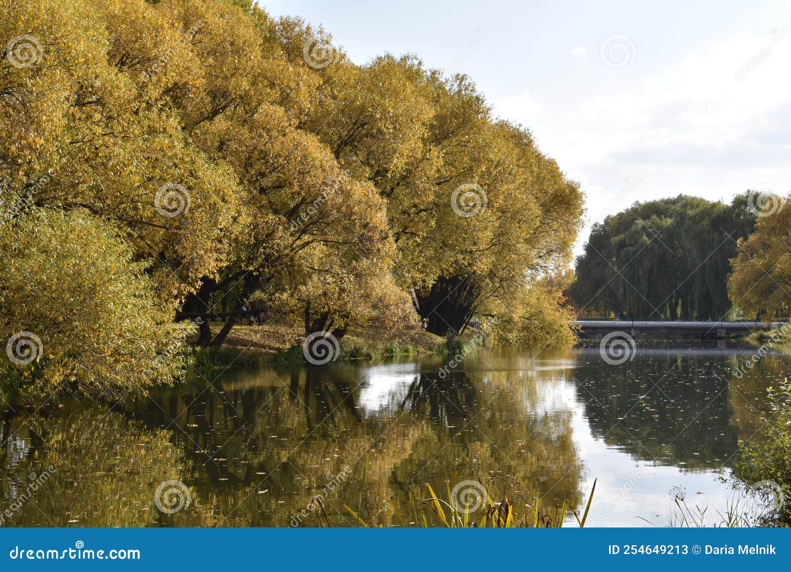 Gold Autumn. Trees by the River Stock Image - Image of tree, lake ...