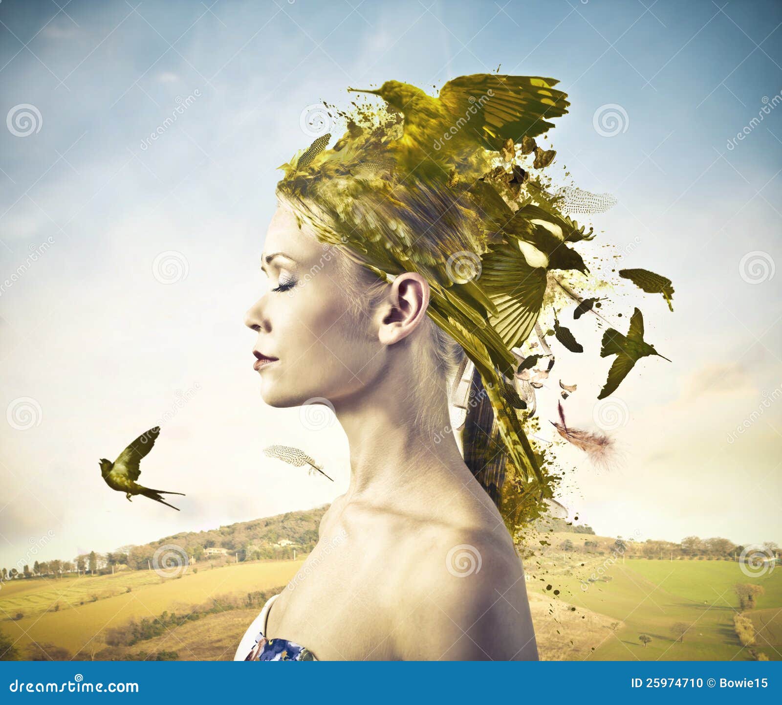 Gold Birds stock photo. Image of girl, hair, landscape - 25974710