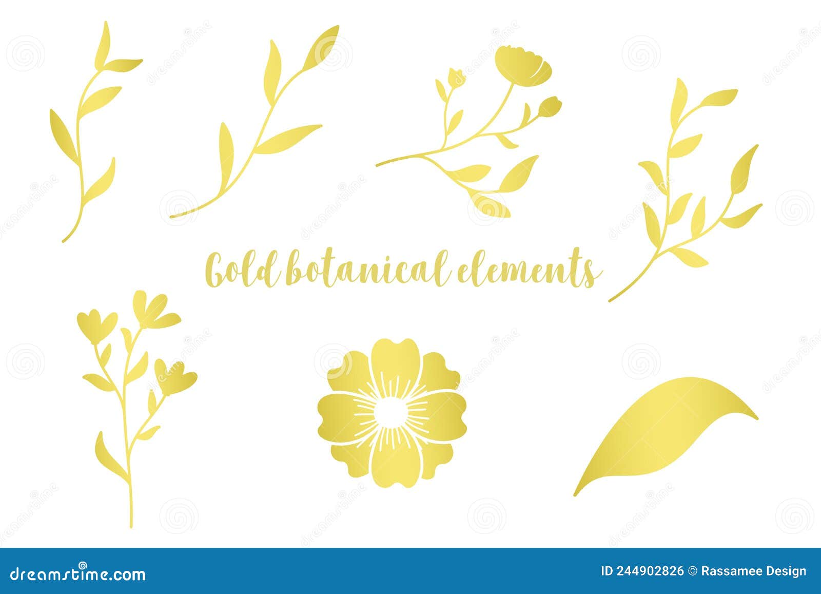 Gold Botanical Elements on White Background Stock Illustration ...