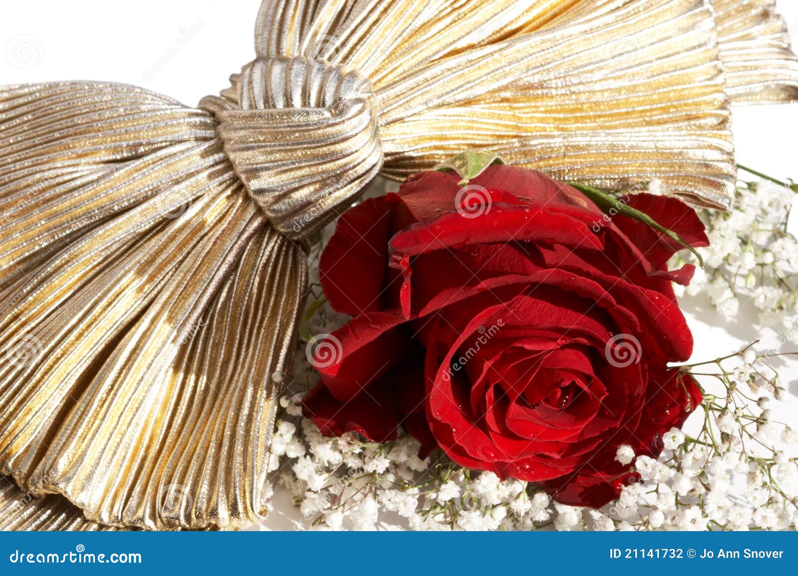 Gold bow with rose stock photo. Image of gold, drop, baby - 21141732