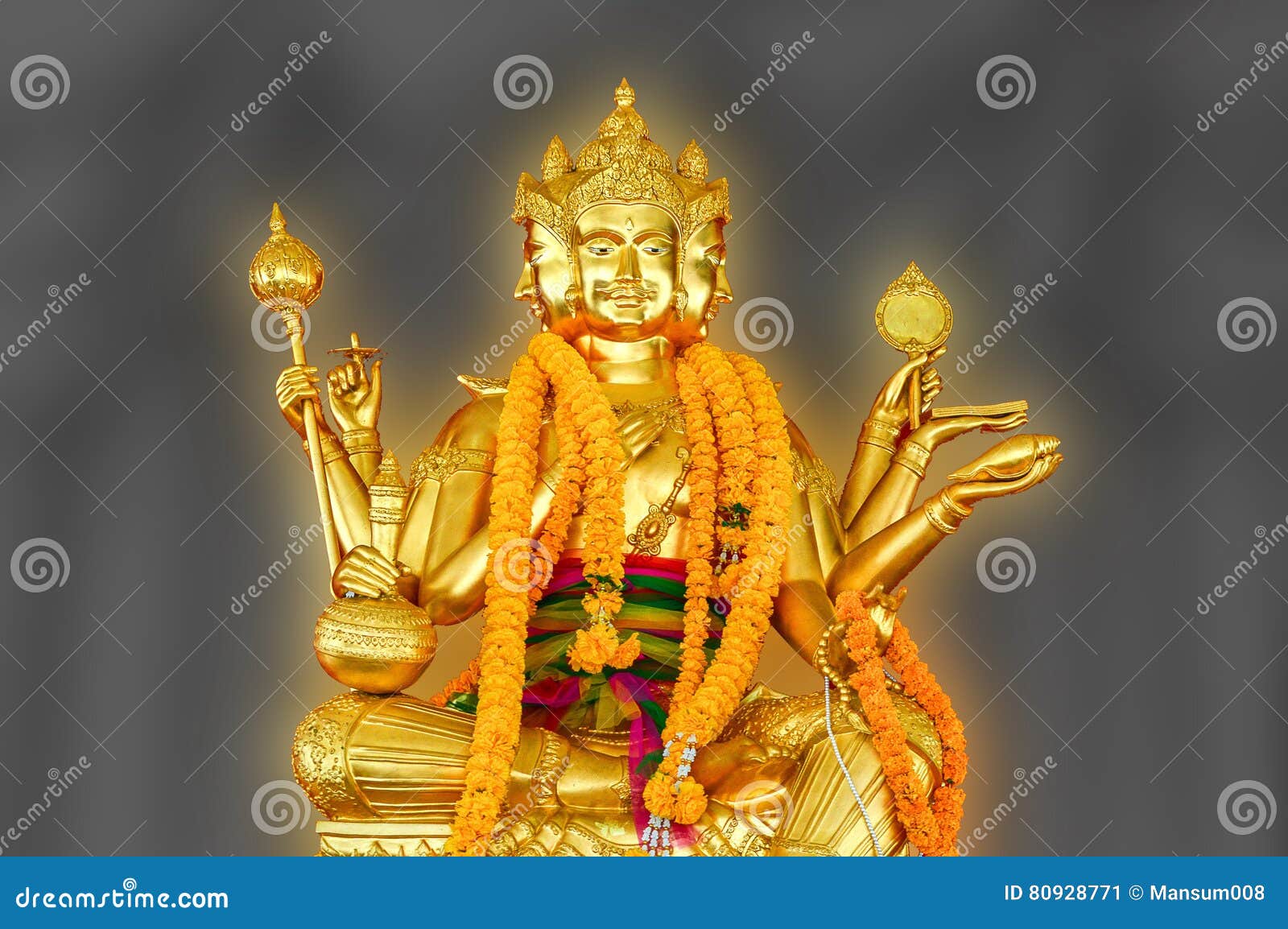 Gold Brahma Cockerel Royalty-Free Stock Photography | CartoonDealer.com ...