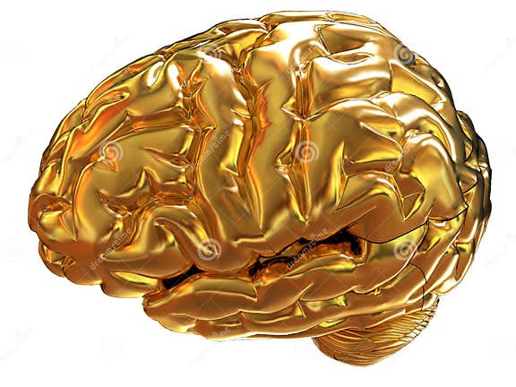 Gold brain. 3d render stock illustration. Illustration of enlightenment ...