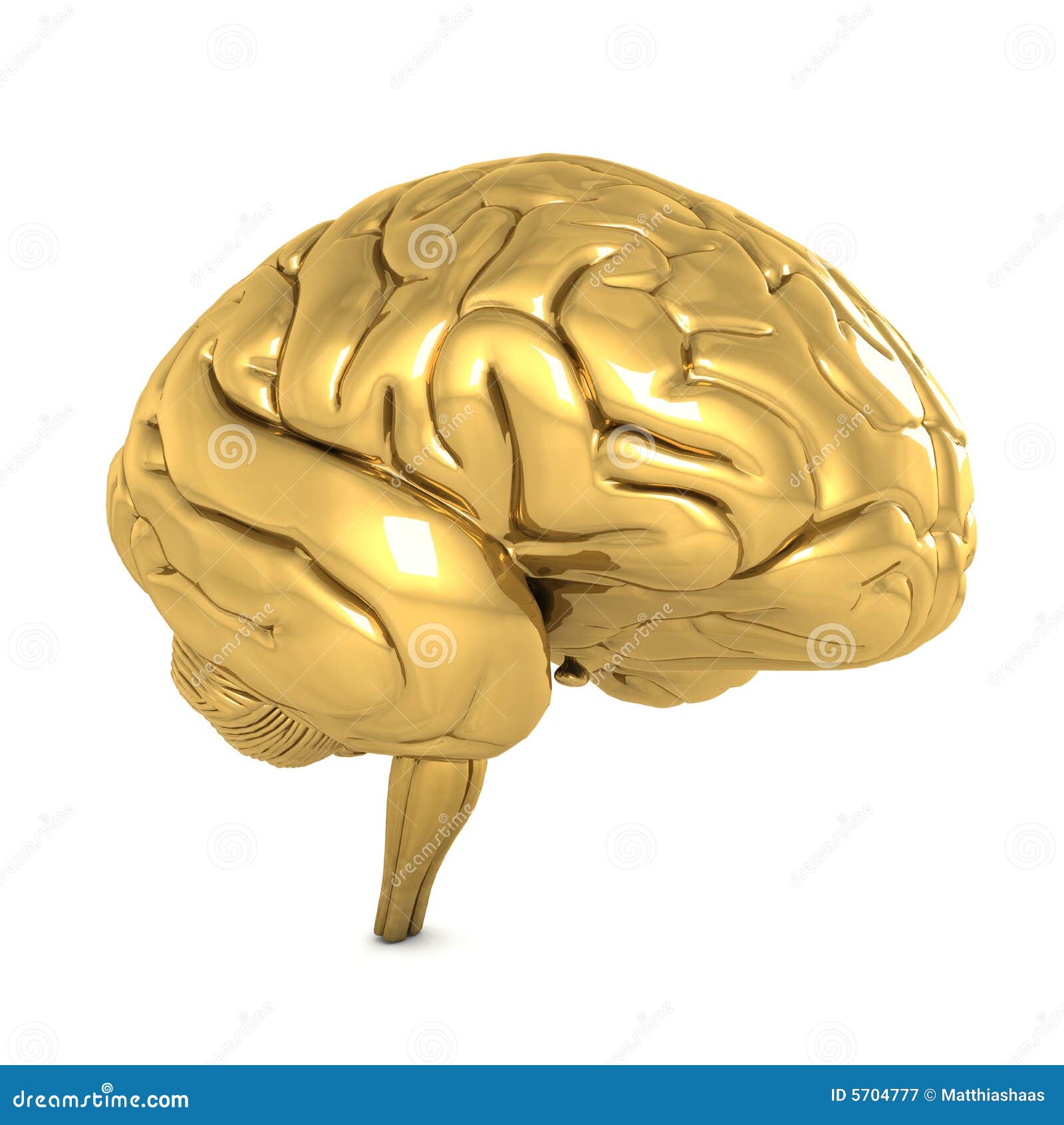 Gold Brain Isolated on White Stock Illustration - Illustration of ...