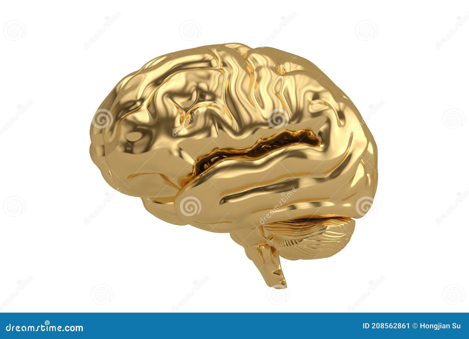 Gold Brain Isolated on White Background, 3D Illustration Stock ...
