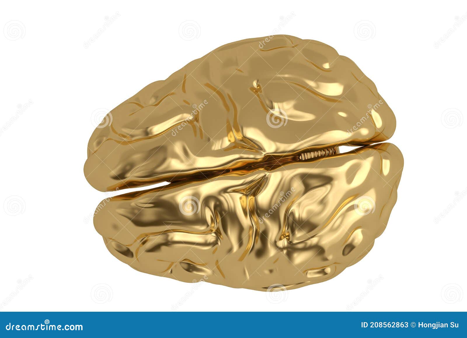 Gold Brain Isolated on White Background, 3D Illustration Stock ...