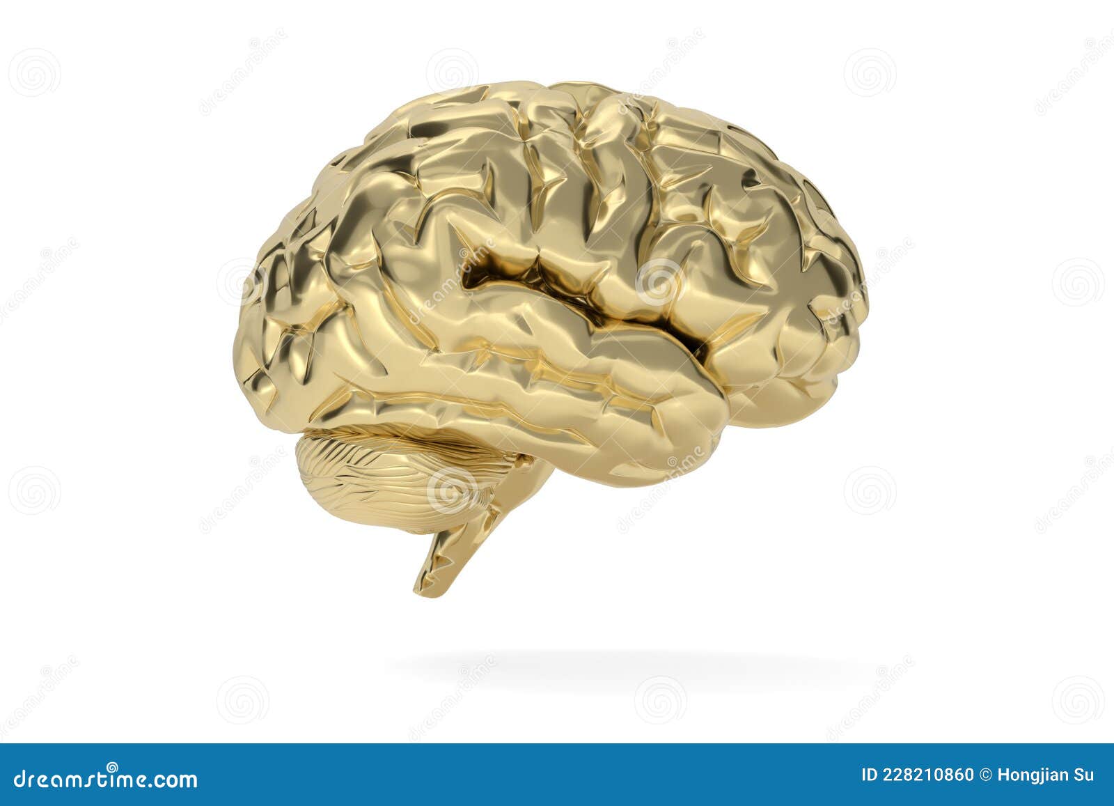 Gold Brain Isolated on White Background, 3D Illustration Stock ...
