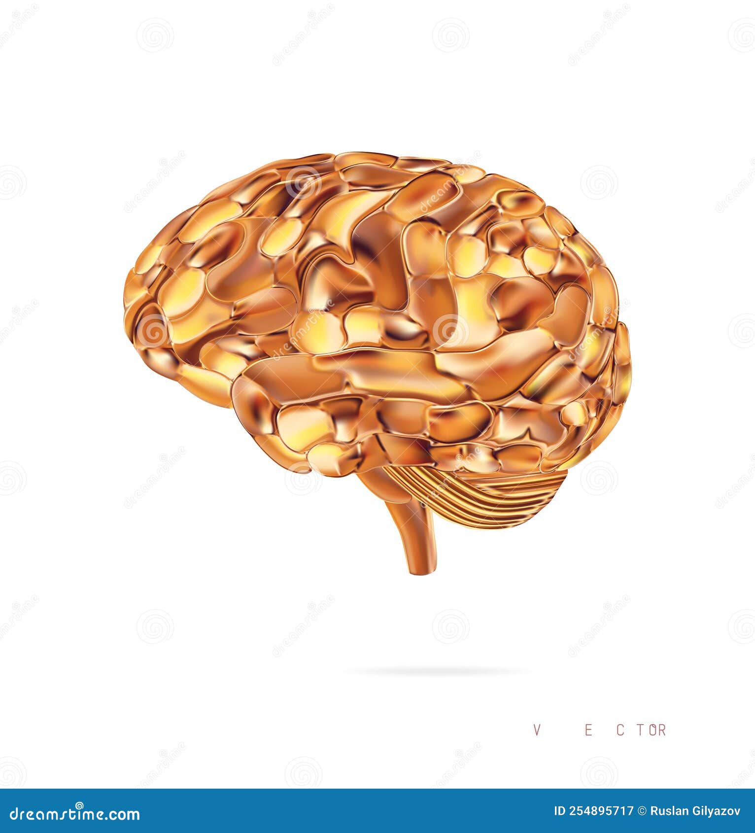 Gold Brain Isolated on White Background, Vector. Mesh Stock Vector ...