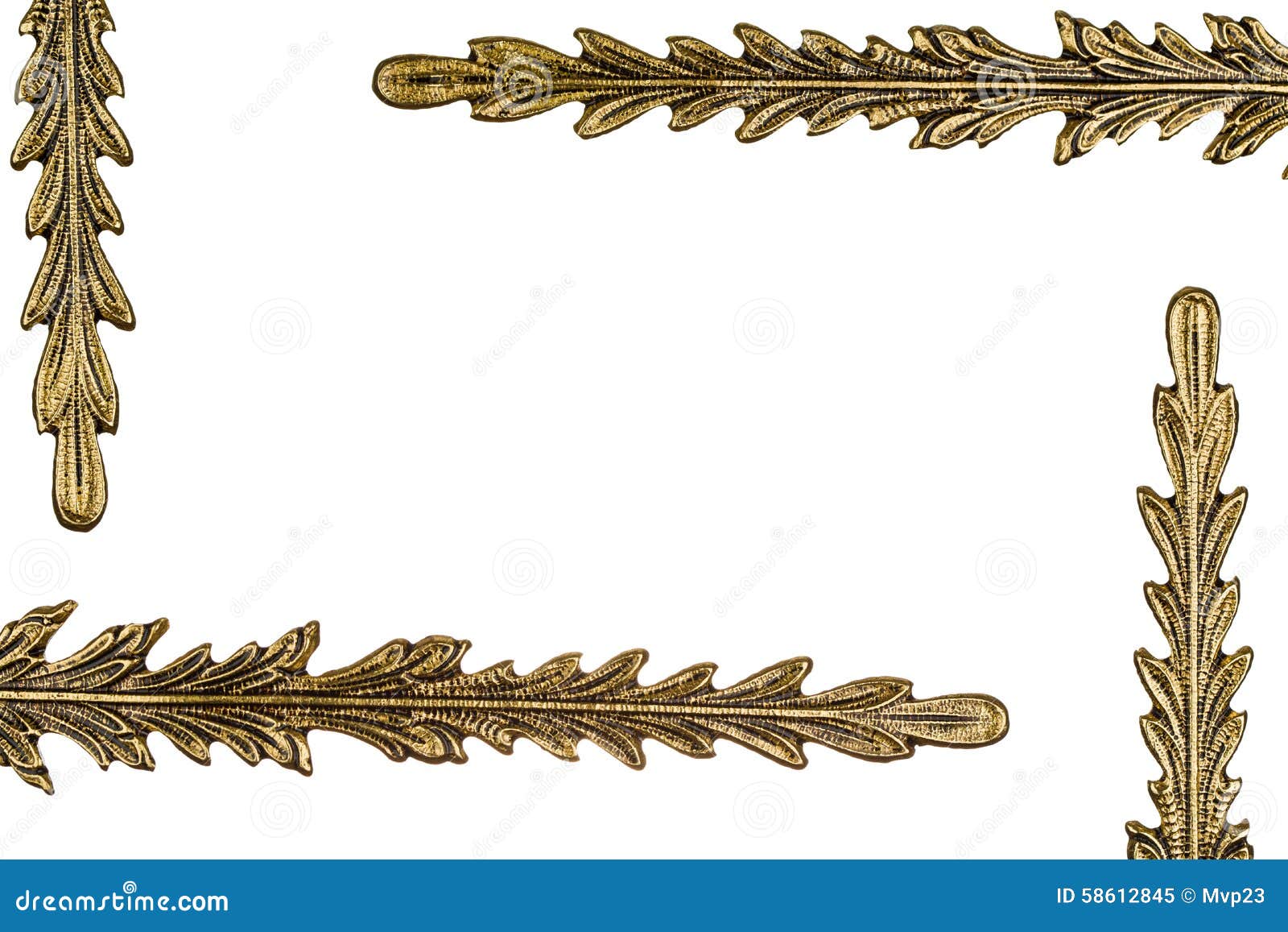 Gold branch stock image. Image of nature, element, leaves - 58612845