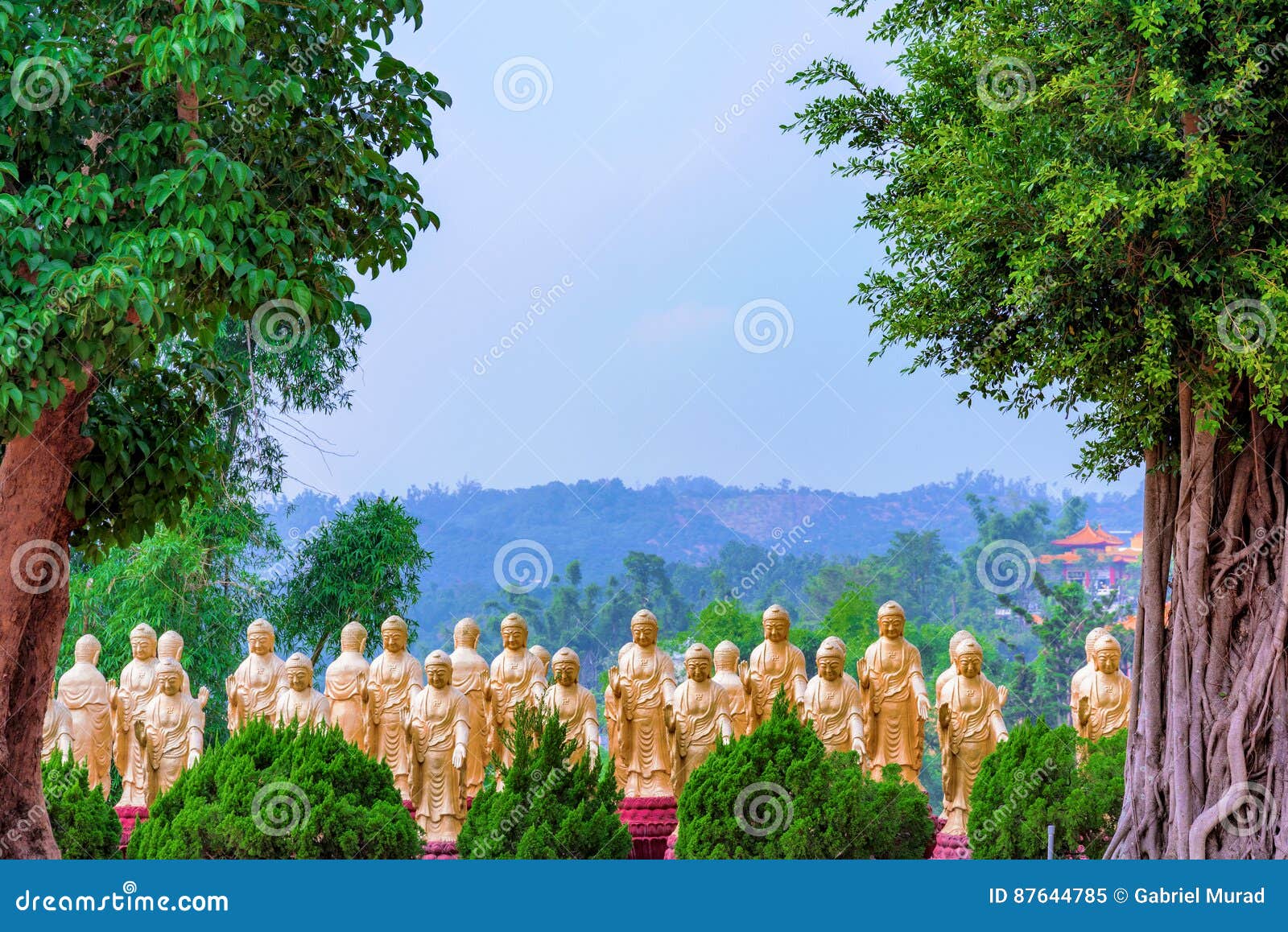 Gold Buddhist Statues with Nature Stock Image - Image of guang ...