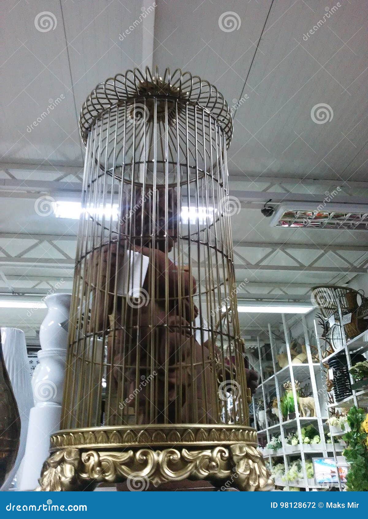 Gold cage stock photo. Image of close, home, building - 98128672