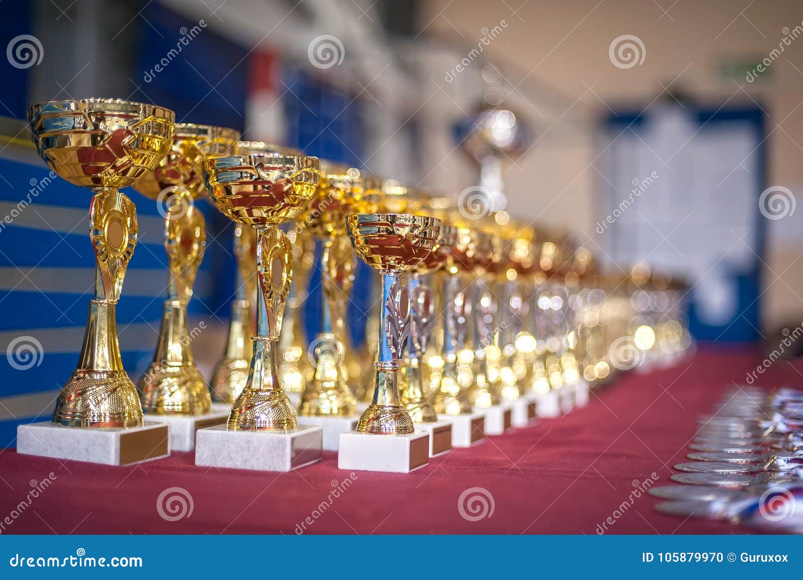 Gold Champion Trophies and Medals Lined Up in Rows Stock Photo - Image ...