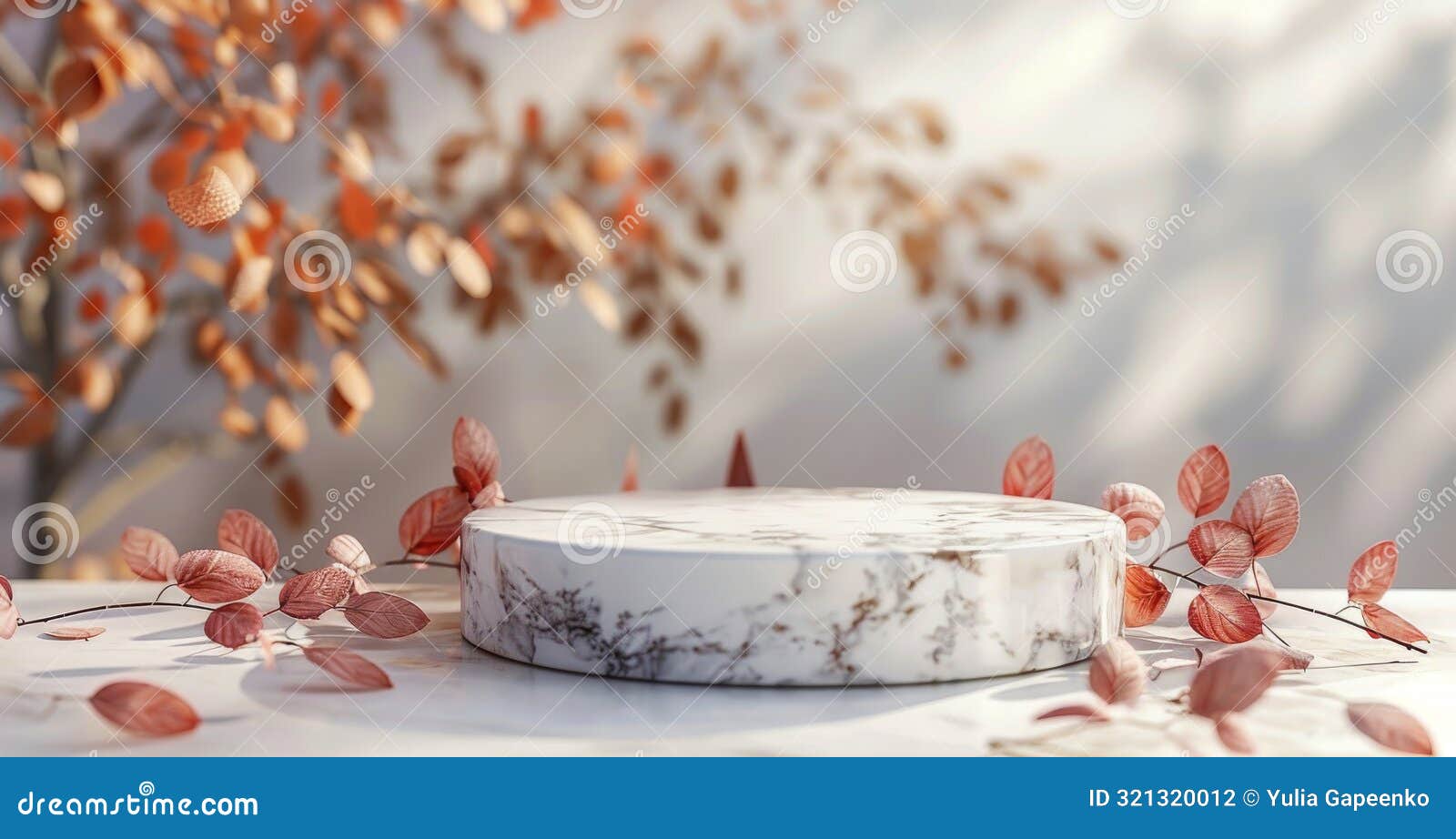 Circle Platform Podium On Elegant Black And Champagne Color Background ...