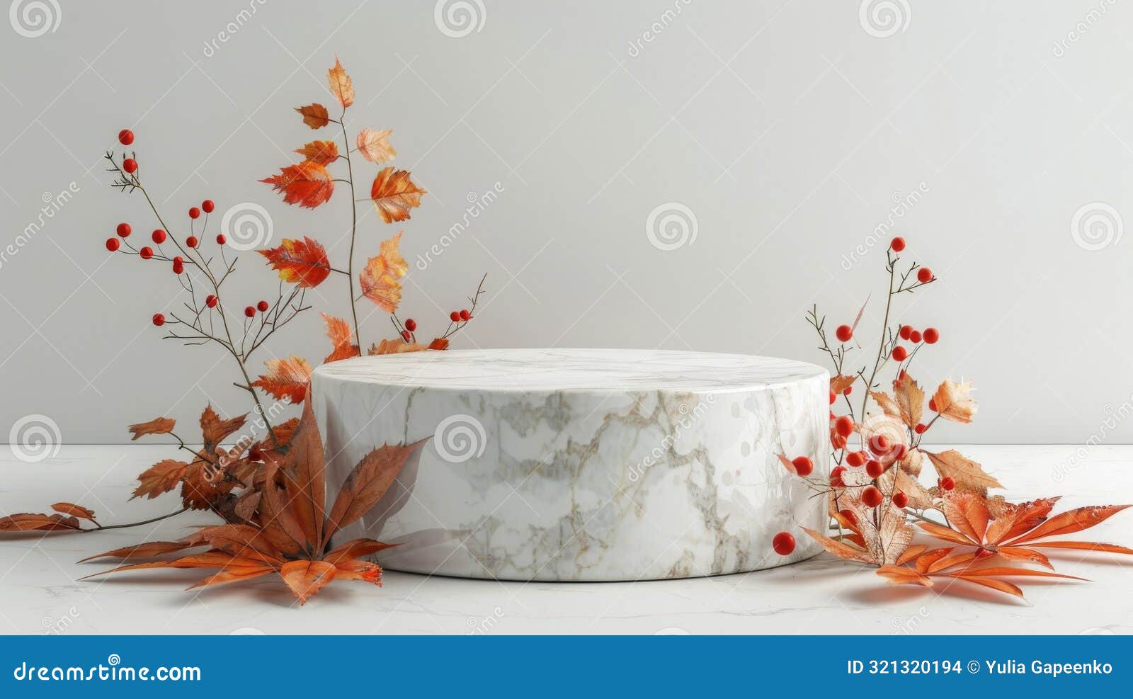 Circle Platform Podium On Elegant Black And Champagne Color Background ...