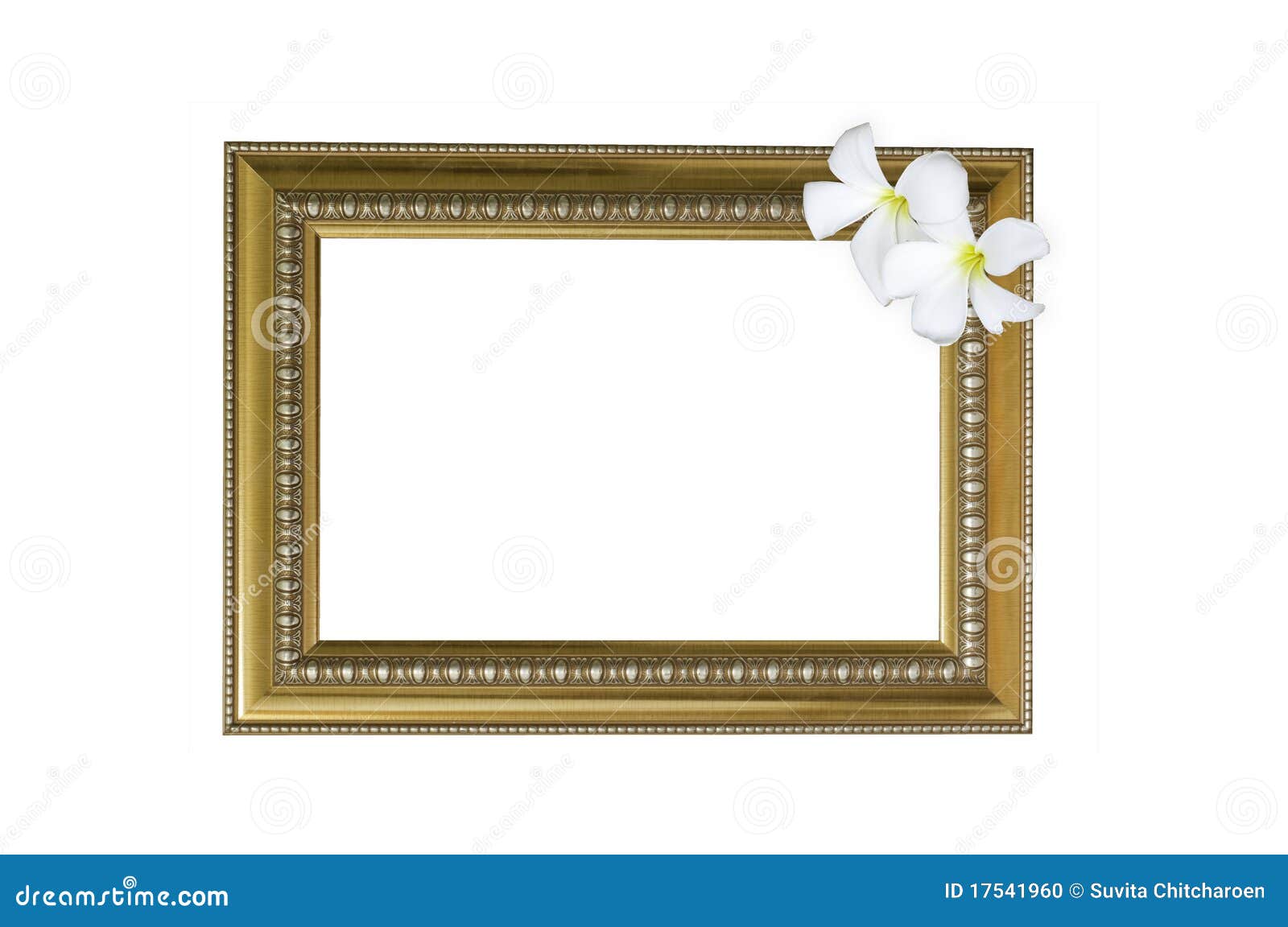 Gold Classic Frame with Lily Stock Photo - Image of exhibition ...