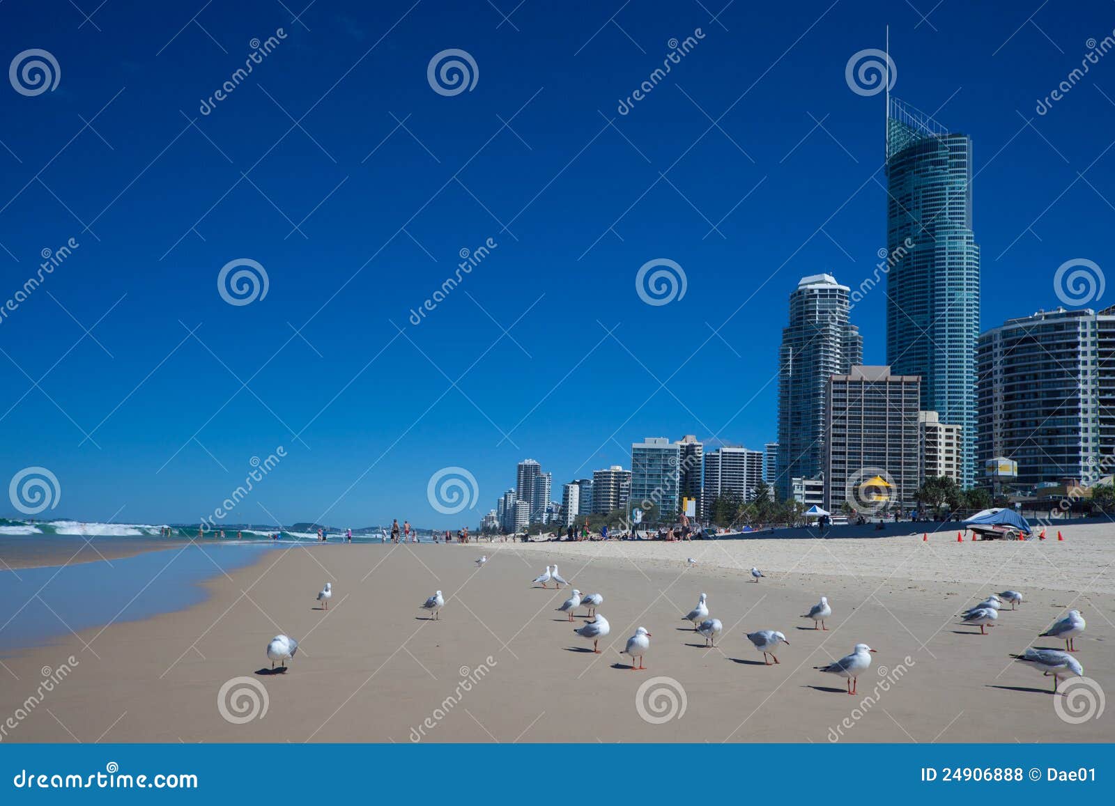Gold Coast beach stock photo. Image of sand, apartments - 24906888