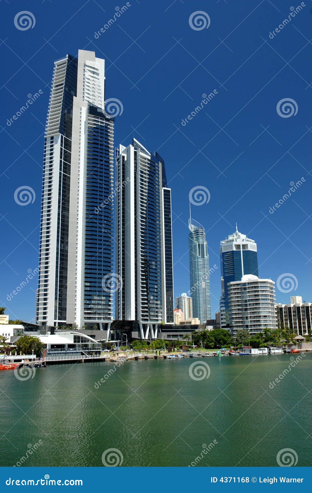 Gold Coast High Rise stock photo. Image of high, architecture - 4371168