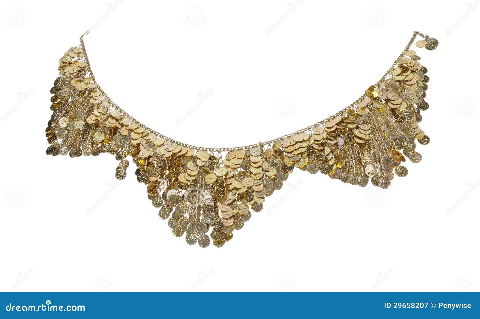 Gold Coin Belt stock image. Image of purchase, coin, monies - 29658207