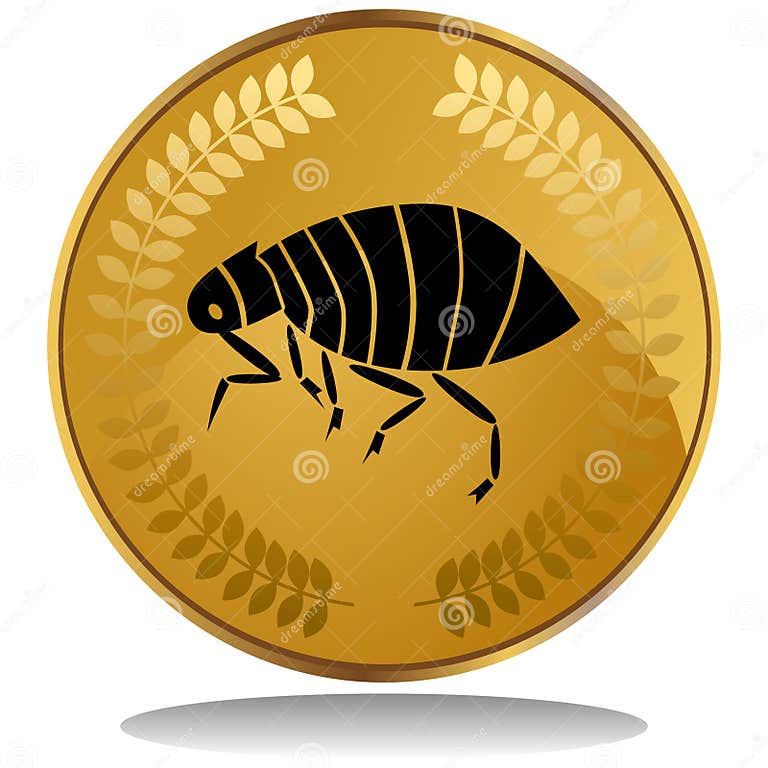 Gold Coin - Flea stock vector. Illustration of itching - 10245128