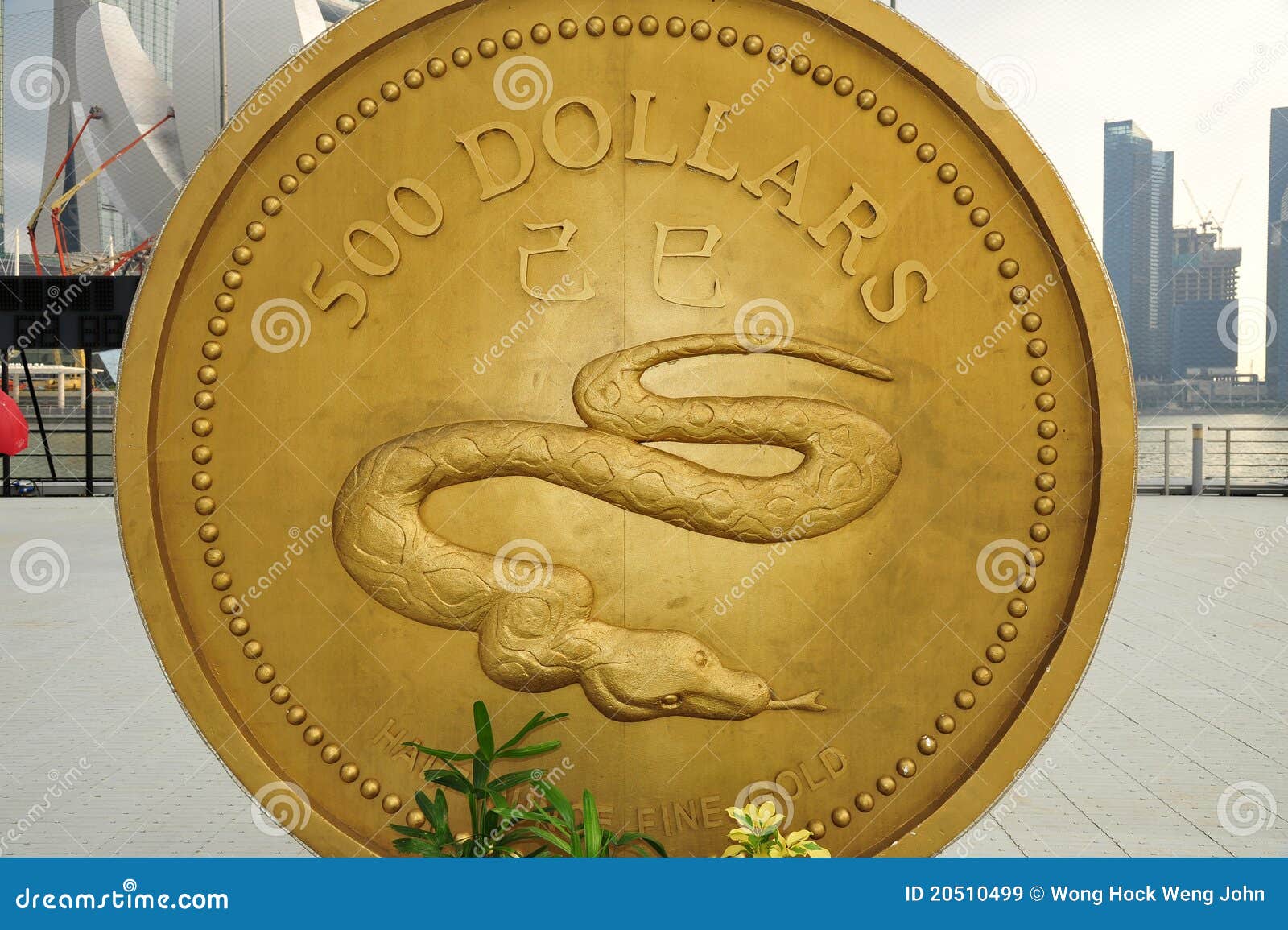 Gold coin snake stock image. Image of gold, money, tradition - 20510499