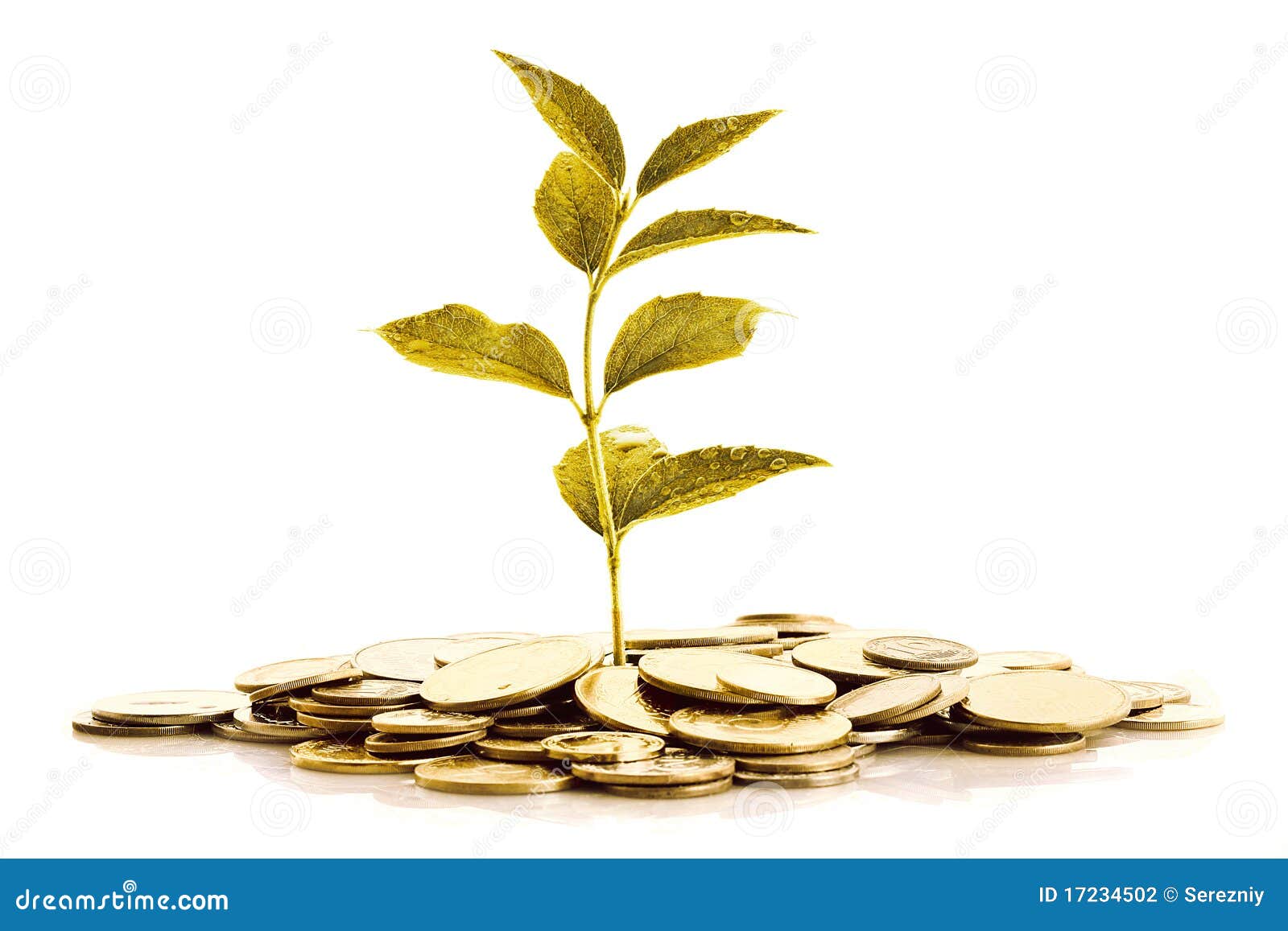 Gold Coins and Golden Plant Stock Photo - Image of care, grivna: 17234502