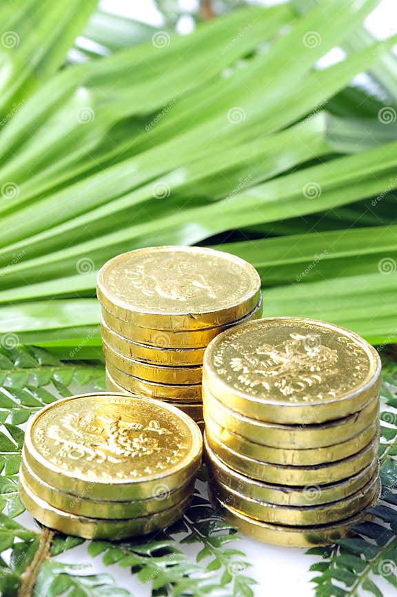 Gold coins in nature stock image. Image of gold, leaves - 11718217