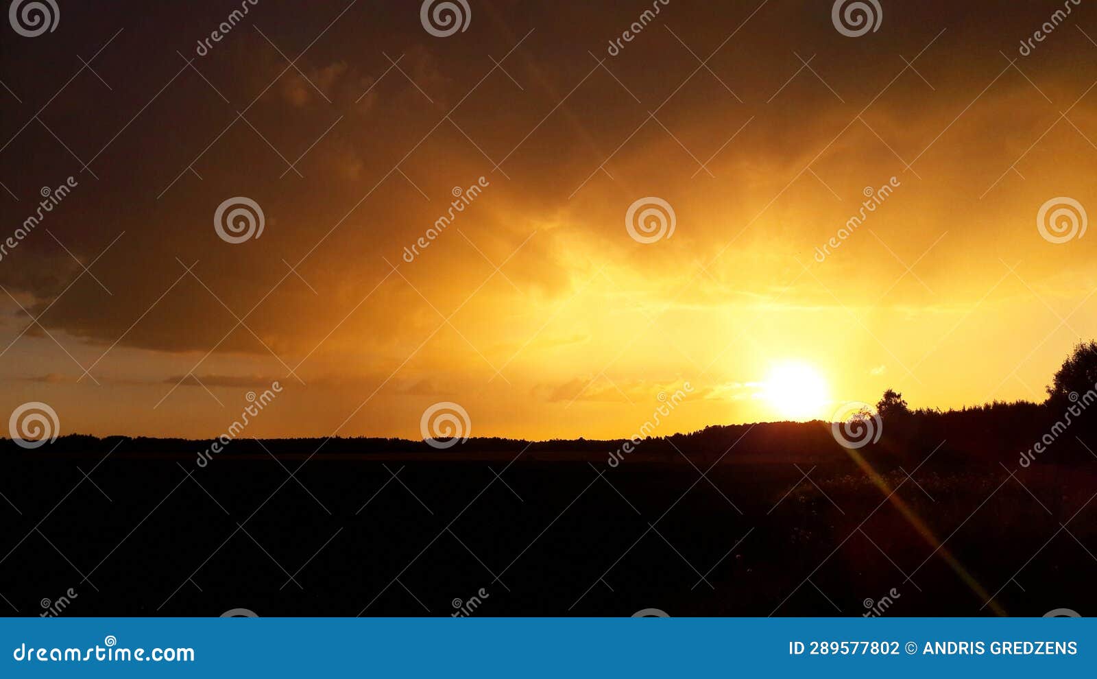Gold color sunset stock photo. Image of sunset, sunshine - 289577802