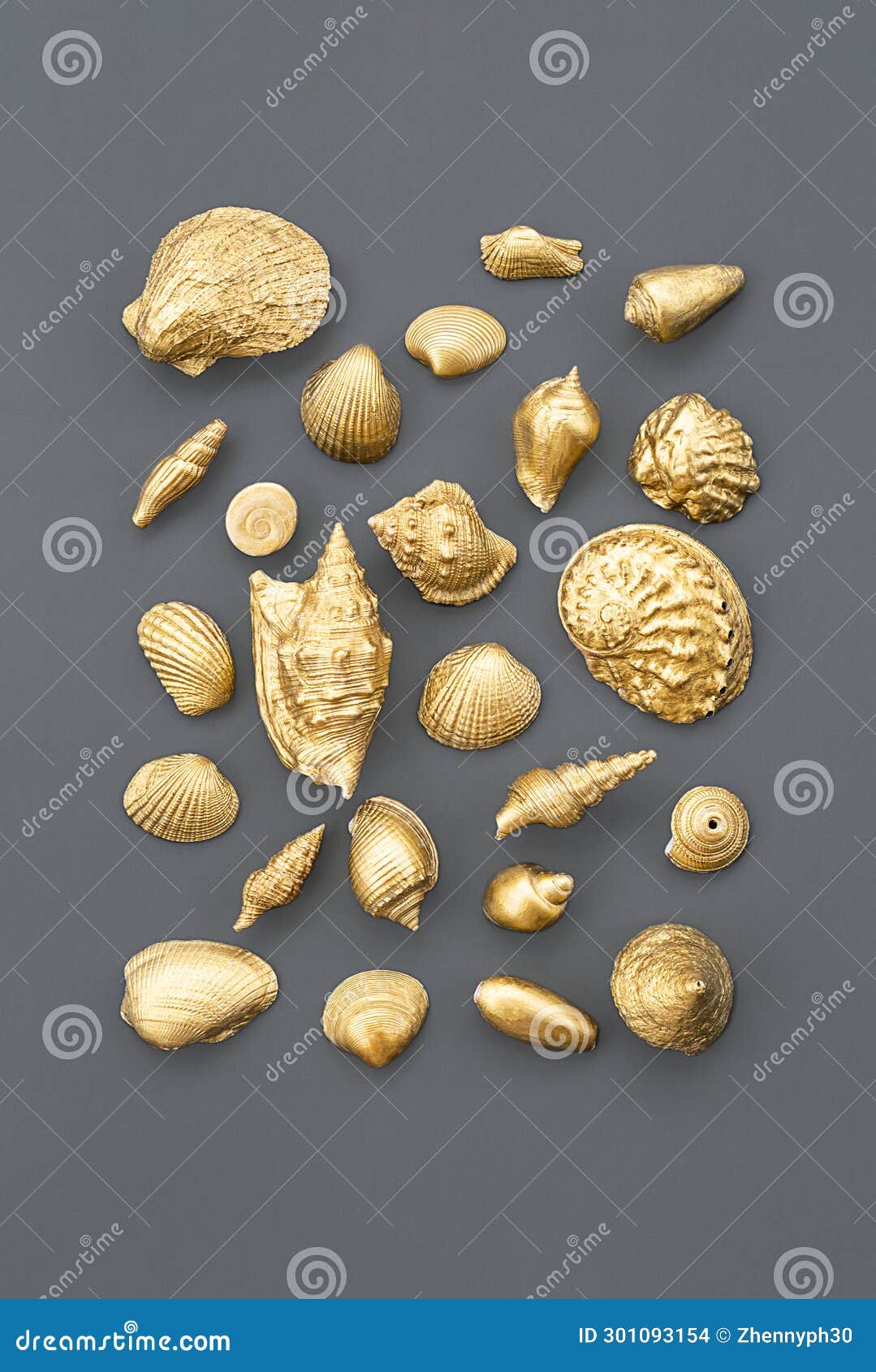 Gold Coloured Seashells Collection Stock Photo - Image of simplicity ...