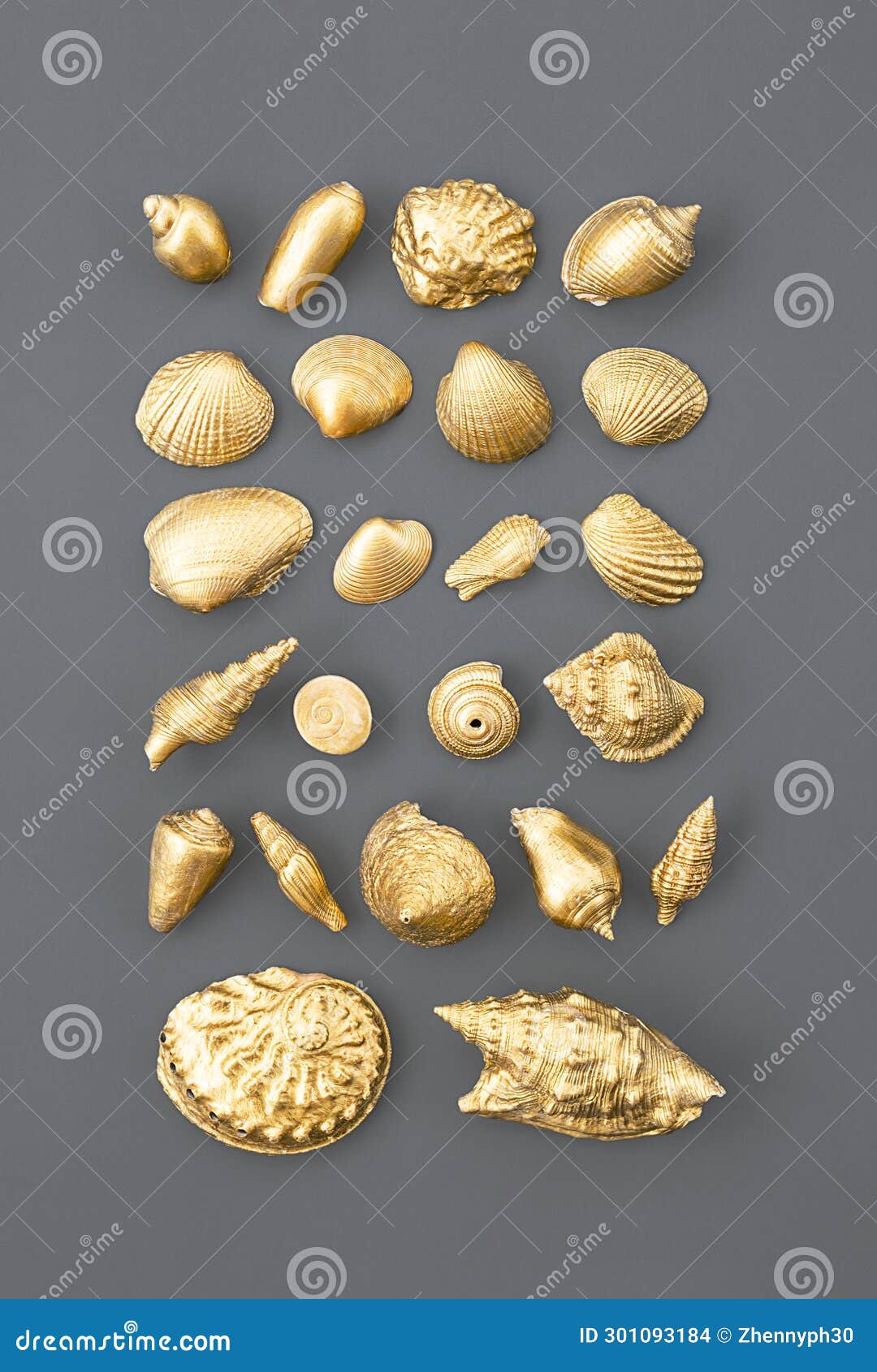 Gold Coloured Seashells Collection Stock Photo - Image of spiral, idea ...