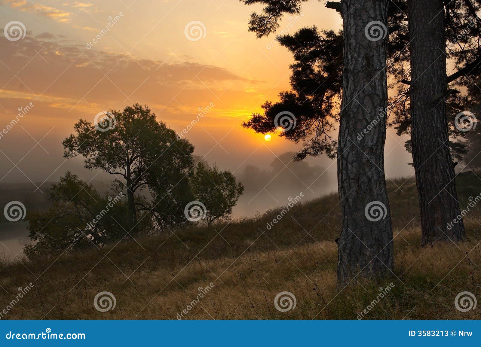 Gold colours of a dawn stock image. Image of fall, river - 3583213